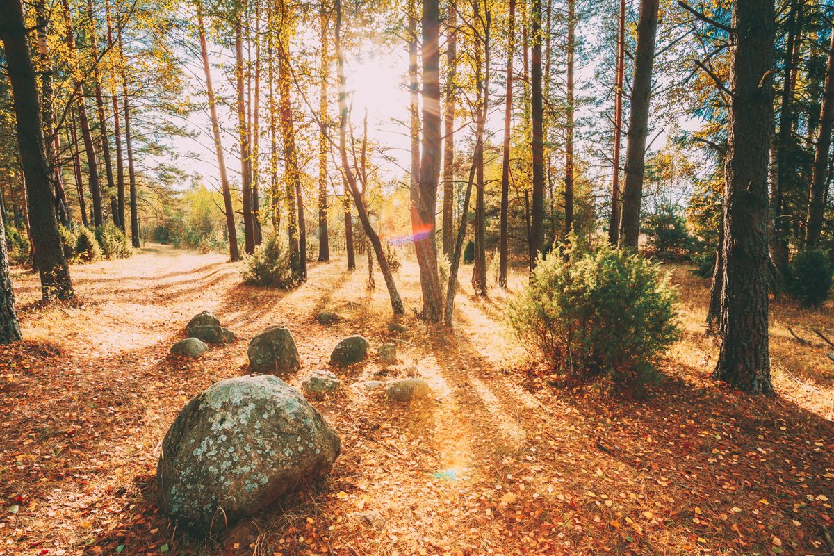 How Much Do Landscape Boulders Cost A A Materials Inc How Much Do Landscape Boulders Cost A A Materials Inc