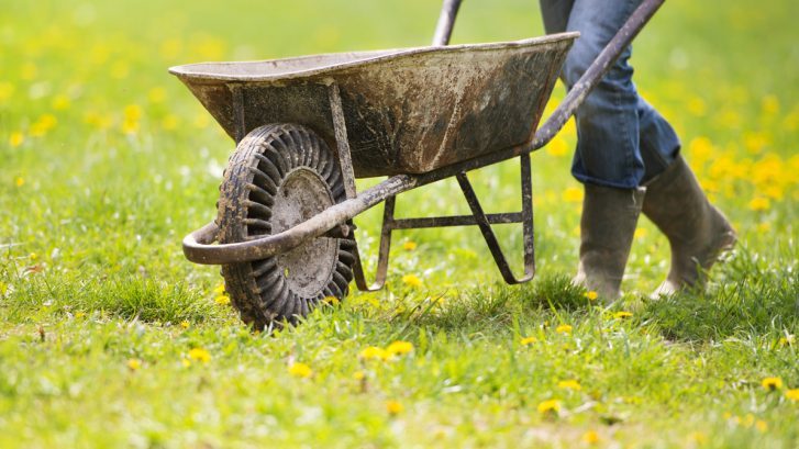 What is Cinder Rock?