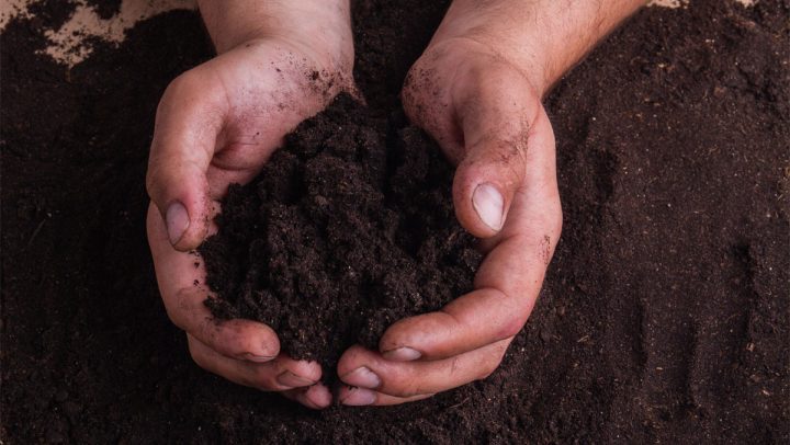 Fill Dirt Vs. Top Soil Similarities and Differences - A&A Materials, Inc.