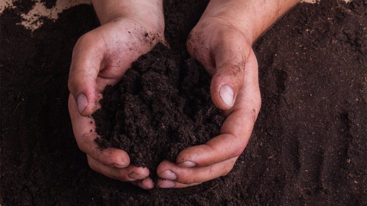 Fill Dirt Vs. Top Soil Similarities and Differences - A&A Materials, Inc.