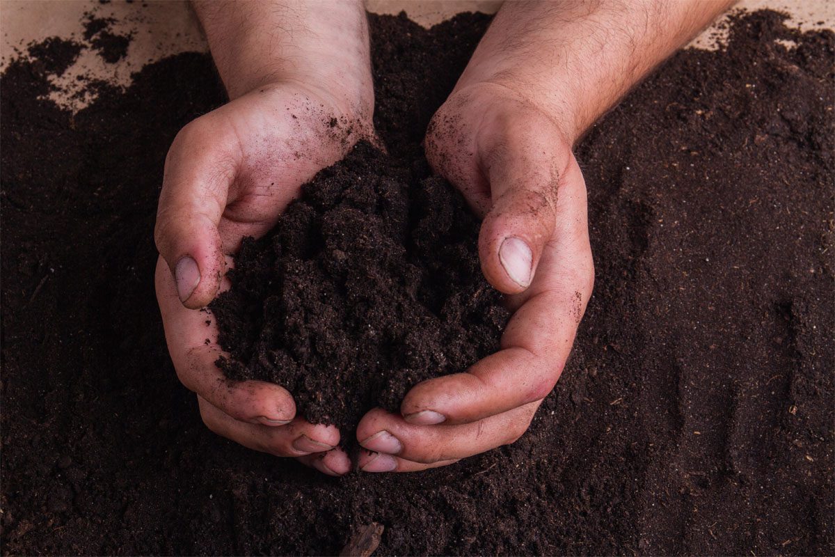 Fill Dirt Vs Topsoil A A Materials Inc 