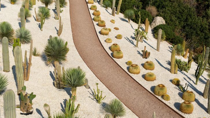 Pros and Cons of Xeriscaping - A&A Materials, Inc.